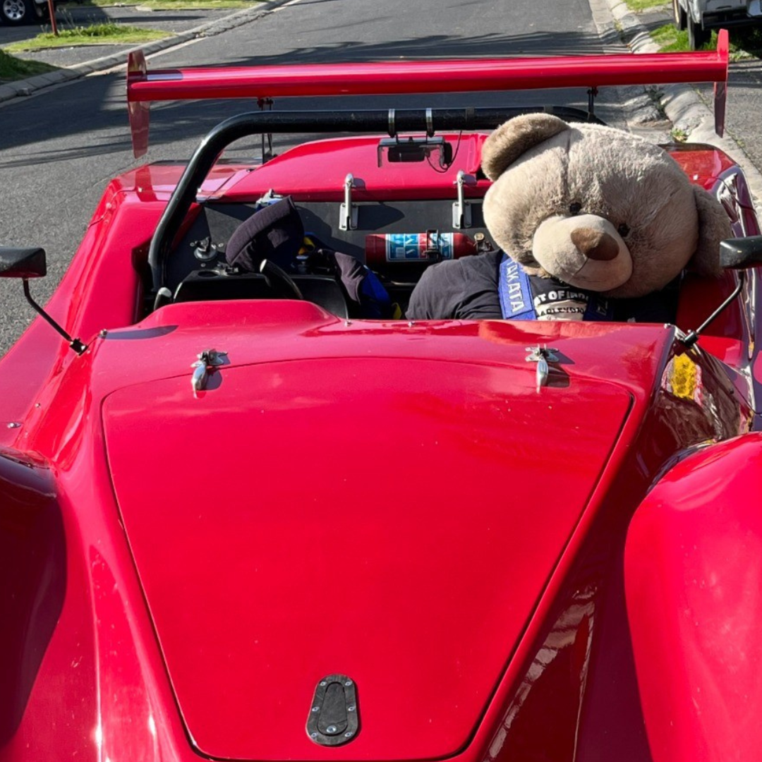 Ted Bear – The Fastest Bear in Town with the Biggest Heart