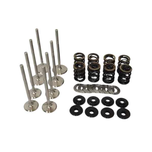 STK Performance - Dual Valve Spring Kit VW 8v | Restomod
